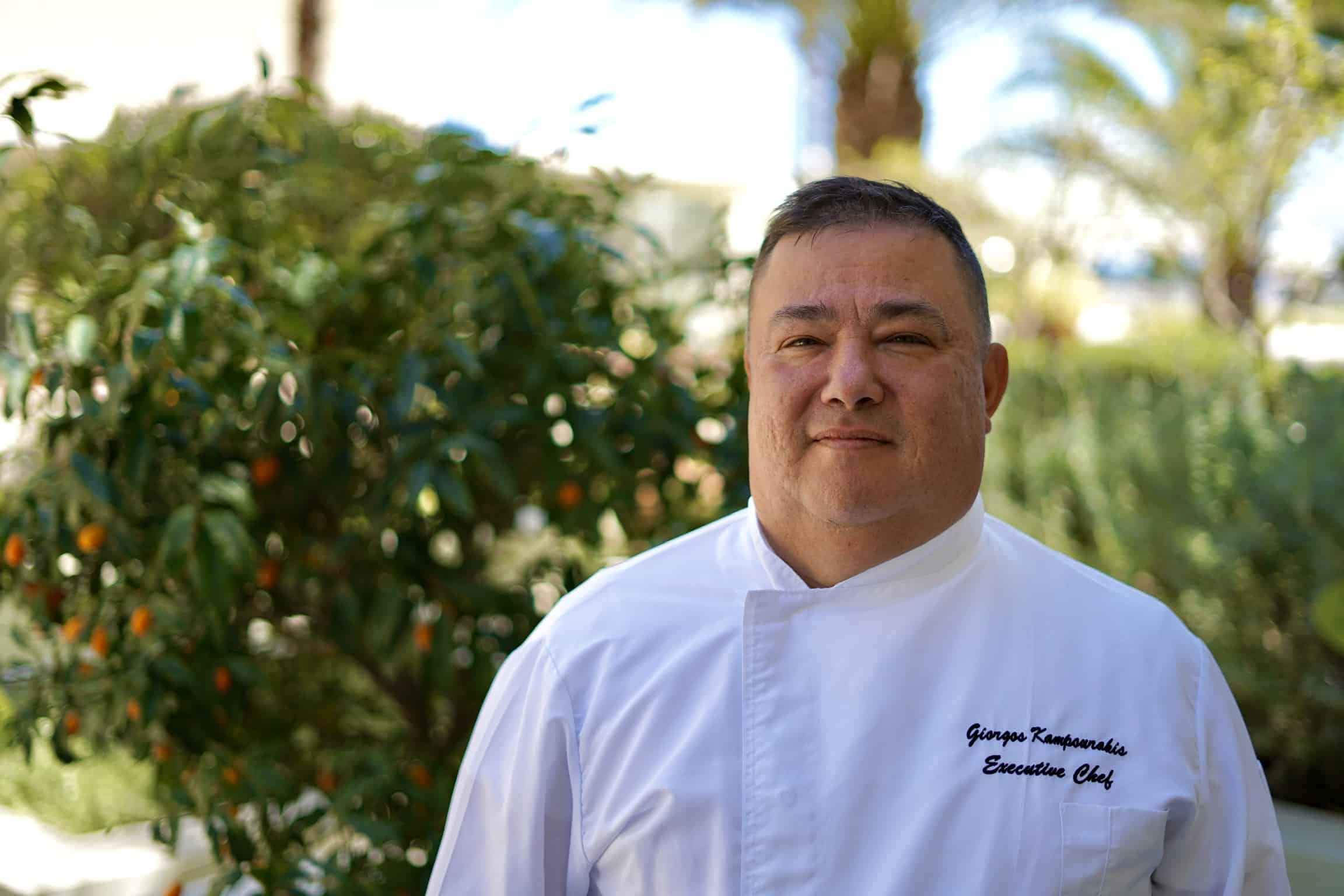 Cook at home your beloved Greek dishes - Apollo Blue Hotel Rhodes